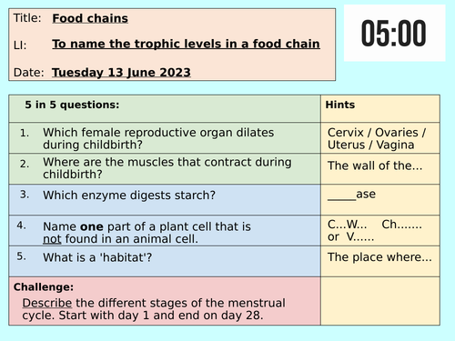 KS3 - Food chains lesson | Teaching Resources