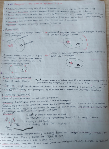 AQA A-level Biology revision material | Teaching Resources