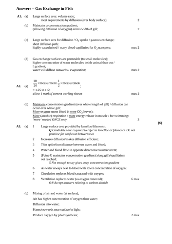 Gas exchange in fish AQA A level Biology | Teaching Resources