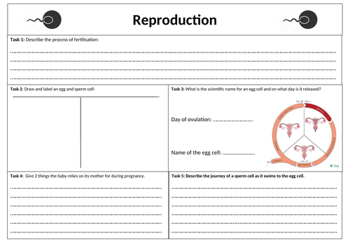 Reproduction info sheet and questions | Teaching Resources
