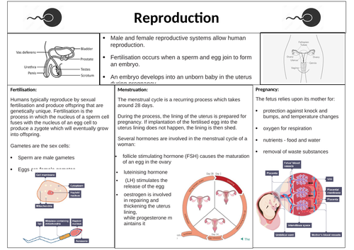 Reproduction info sheet and questions | Teaching Resources