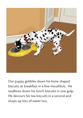 Our Puppy is Always Hungry Story and Follow Up Questions (Age 5-7 ...