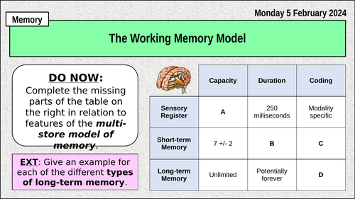 A Level Psychology The Working Memory Model [memory Topic] Teaching