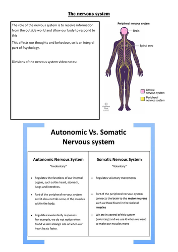 WHOLE TOPIC BIOPSYCHOLOGY AQA PAPER 2 | Teaching Resources WHOLE TOPIC BIOPSYCHOLOGY AQA PAPER 2 | Teaching Resources
