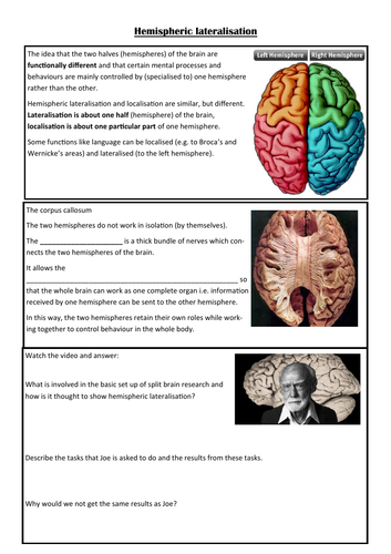 WHOLE TOPIC BIOPSYCHOLOGY AQA PAPER 2 | Teaching Resources WHOLE TOPIC BIOPSYCHOLOGY AQA PAPER 2 | Teaching Resources