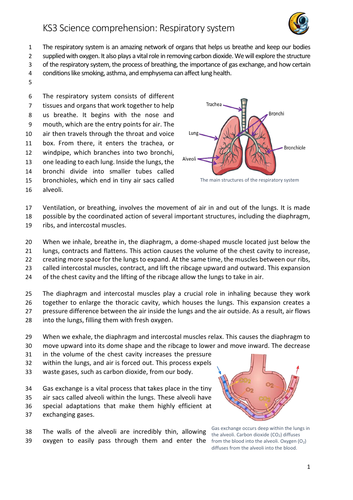 Respiratory system KS3/4 comprehension | Teaching Resources