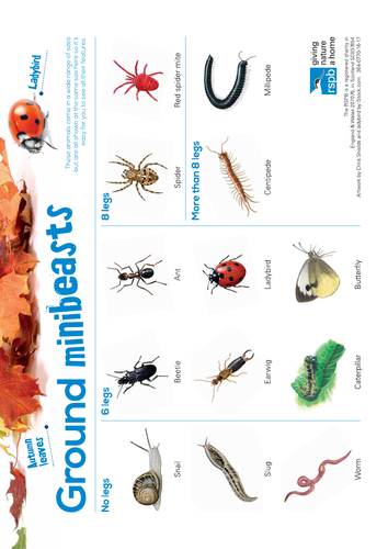 KS2 Living Things & Their Habitats Unit Planning | Teaching Resources