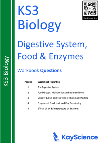 KS3 Digestive System, Food & Enzymes Question Booklet | Biology ...