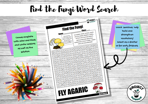 Find the Fungi Word Search | Teaching Resources