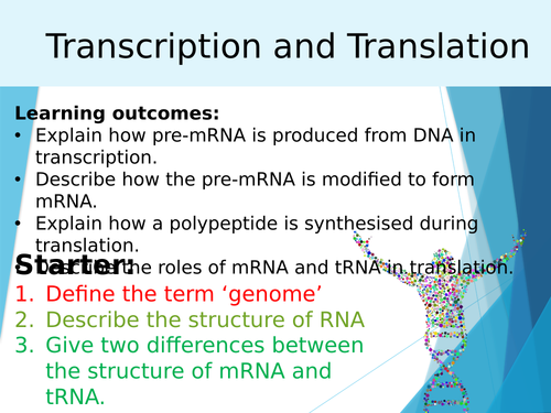 AQA AS Biology 8.4 & 8.5 Transcription and Translation | Teaching Resources