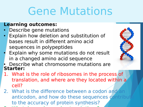 AQA AS Biology 9.1 Gene Mutations | Teaching Resources