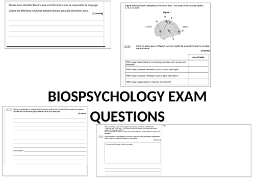 AQA Psychology Biopsychology | Teaching Resources