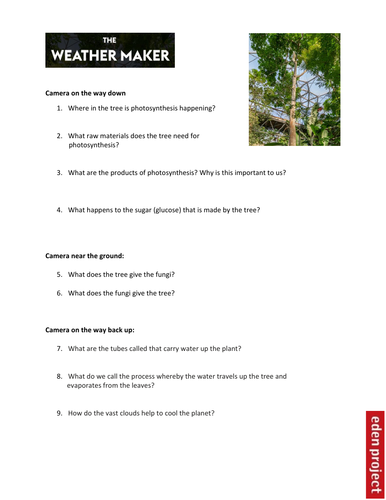 Virtual Experience- The Invisible Rainforest for schools | Teaching ...