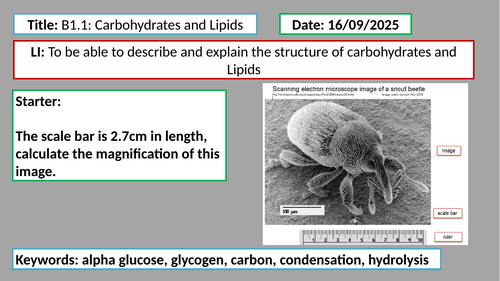 IB Biology: B1.1 Carbohydrates and Lipids (first exams in 2025 ...