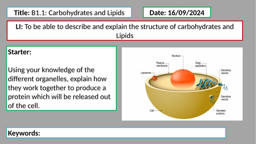 IB Biology: B1.1 Carbohydrates and Lipids (first exams in 2025 ...