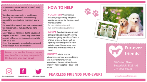 Writing a Charity Leaflet Activity | Teaching Resources