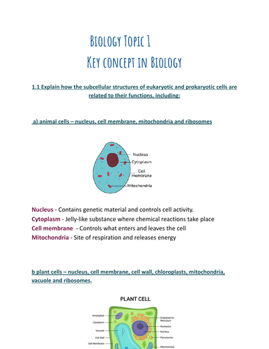 Edexcel GCSE Biology Topic 1 Grade 9 Notes | Teaching Resources