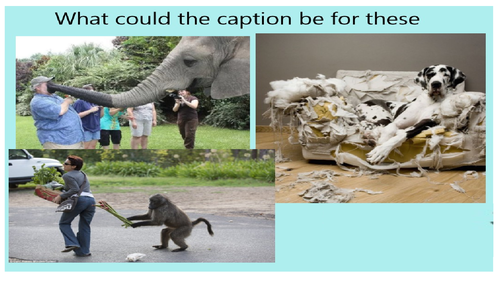 ‘Tut in Murder Mystery’ – Newspaper Report - Talk for Writing Style ...