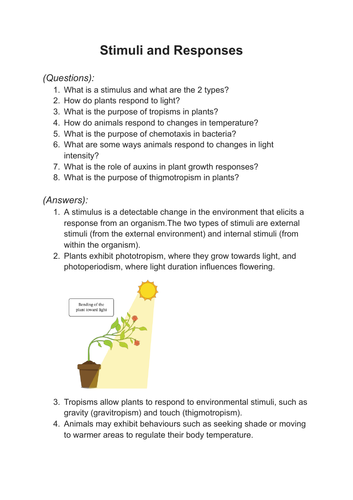 CONCISE A* A Level Biology Topic 6 Stimuli, Nervous Coordination ...
