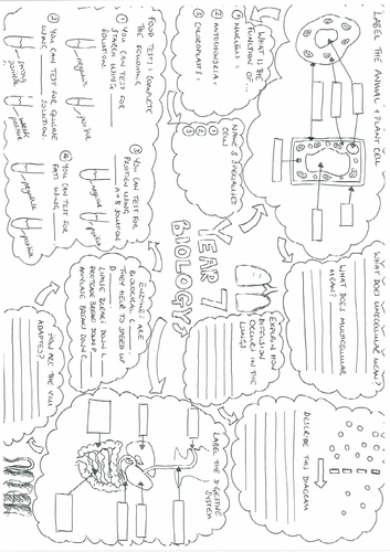 Year 7 Science Revision Sheets Bundle | Teaching Resources