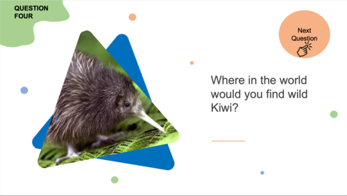 Geography summer end of term quiz 2023 KS3 | Teaching Resources