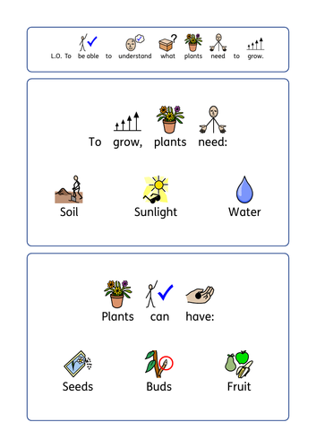 Gardening qualification - Mode - SEND | Teaching Resources