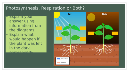 CIE 6.1 Photosynthesis Limiting Factors | Teaching Resources