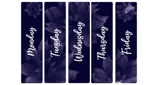 Midnight blue floral classroom decor display pack | Teaching Resources