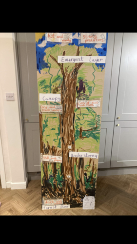 EYFS Reception Habitat job interview | Teaching Resources