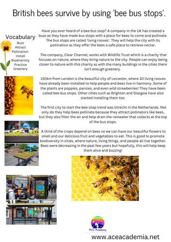 Bee Bus stop comprehension | Teaching Resources