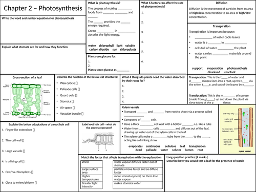 Biology Paper 1 revision broadsheets AQA GCSE KS4 | Teaching Resources