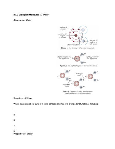 OCR Biology A - A Level 2.1.2 (a) Water | Teaching Resources