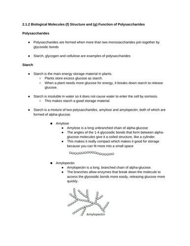 OCR A Level Biology A - 2.1.2 (f) (g) Structure and Function of ...