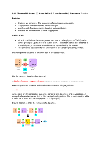 OCR A Level Biology A - 2.1.2 (k) (l) (m) Proteins | Teaching Resources