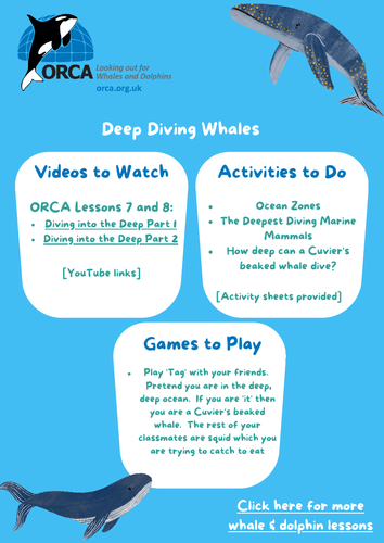 ORCA: Deep Diving Whales | Teaching Resources