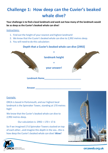 ORCA: Deep Diving Whales | Teaching Resources