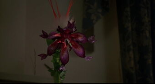 Jumanji Survival Guide Writing Sequence | Teaching Resources