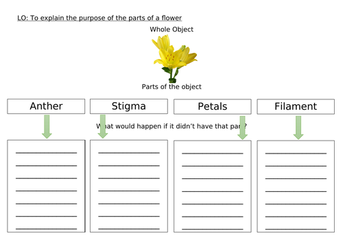 Year 5 Living Things & their Habitats Lesson 7 - Flowering Plant ...
