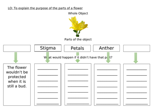 Year 5 Living Things & their Habitats Lesson 7 - Flowering Plant ...