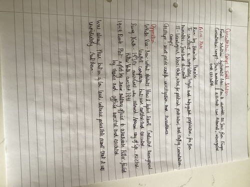 AQA GCSE History Germany Democracy & Dictatorship 1890-1945 | Teaching ...