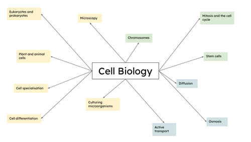 Blank revision mind maps for AQA GCSE Biology paper one | Teaching Resources
