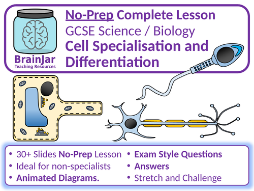 Specialised Cells | Teaching Resources