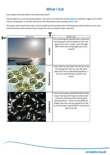 Whales as Ecosystem Engineers | Teaching Resources