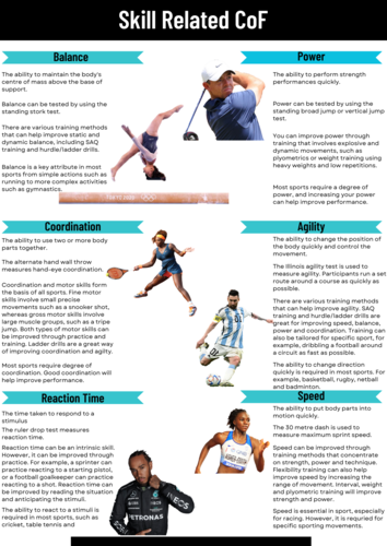 Components of Fitness Posters for Walls | Teaching Resources
