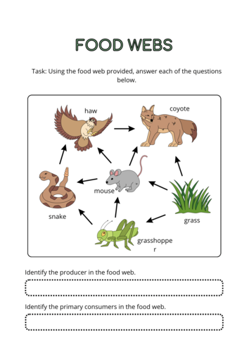Food Webs | Teaching Resources