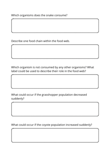 Food Webs | Teaching Resources