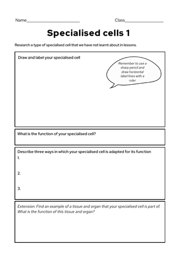 KS3 Science Biology Cells and Organisation Homework Worksheet Bundle ...