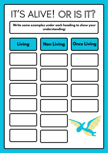 Primary Education Worksheet bundle | Teaching Resources