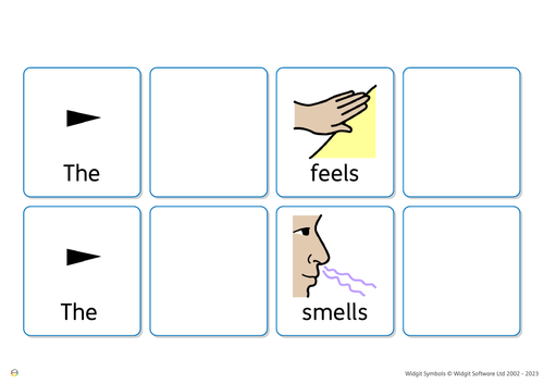 Senses Widgit | Teaching Resources
