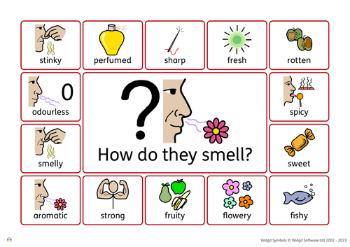 Senses Widgit | Teaching Resources